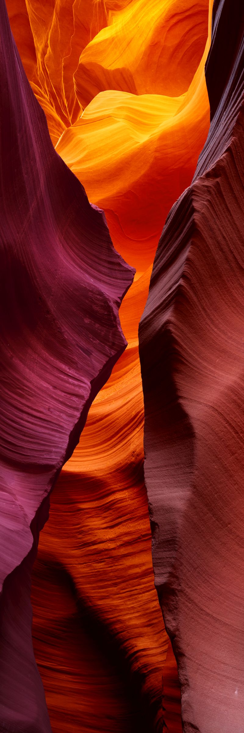 Transcendent Beauty